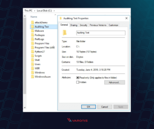 Complete Guide to Windows File System Auditing - Varonis
