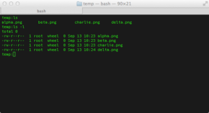 The Difference Between Bash and Powershell