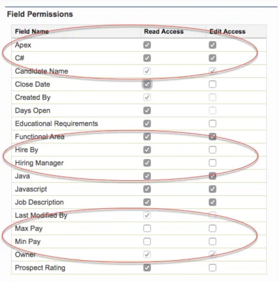 Salesforce Security Guide: Best Practices