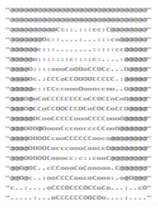 How to setup a SPF record to prevent spam and spear phishing