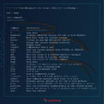 What is Metasploit? The Beginner's Guide