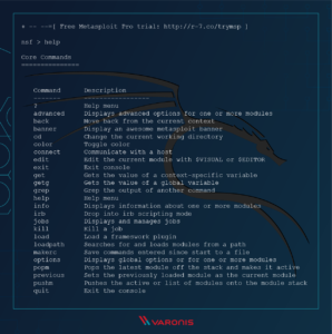What is Metasploit? The Beginner's Guide